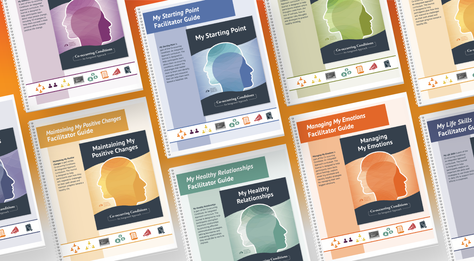 What Are Facilitator Guides